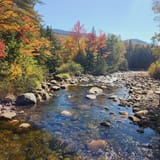Franconia Falls Trail, New Hampshire - 1,486 Reviews, Map | AllTrails