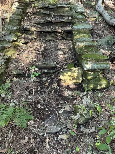Best Hikes and Trails in Cook's Canyon Wildlife Sanctuary | AllTrails