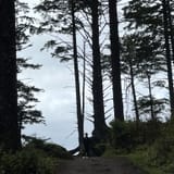 Short Sand Beach Trail, Oregon - 702 Reviews, Map | AllTrails