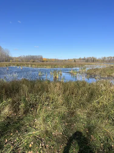 10 Best Snowshoeing Trails in Cooking Lake/Blackfoot Provincial ...