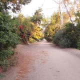 Fullerton Loop Trail, California - 4,865 Reviews, Map | AllTrails
