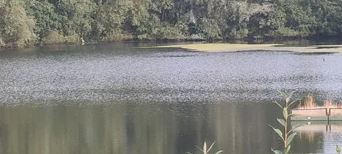 Best Hikes and Trails in North Cave Wetlands | AllTrails