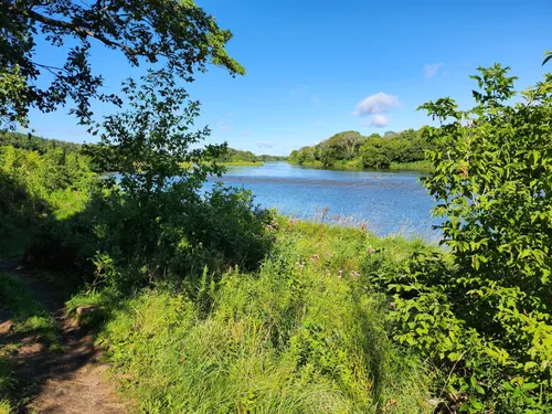 10 Best Trails and Hikes in Cambridge | AllTrails