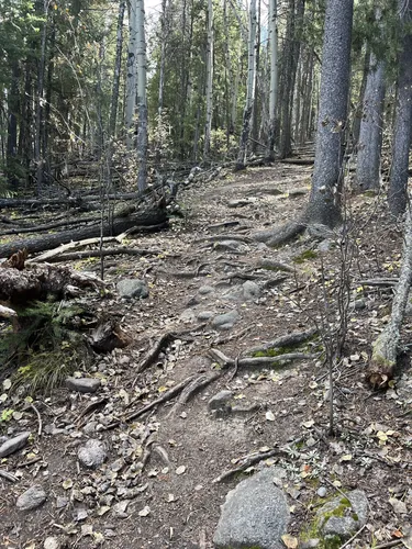 Denver Mountain Parks: de beste routes om te wandelen | AllTrails