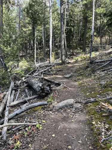 Denver Mountain Parks: de beste routes om te wandelen | AllTrails