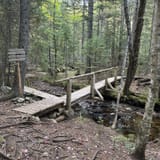 Little Harbor Brook Trail, Maine - 166 Reviews, Map | AllTrails