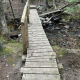 Little Harbor Brook Trail, Maine - 166 Reviews, Map | AllTrails