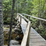Little Harbor Brook Trail, Maine - 166 Reviews, Map | AllTrails