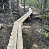 Little Harbor Brook Trail, Maine - 166 Reviews, Map | AllTrails