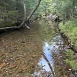 Little Harbor Brook Trail, Maine - 166 Reviews, Map | AllTrails