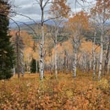 Armstrong Trail to Dawns Trail Loop, Utah - 2,536 Reviews, Map | AllTrails