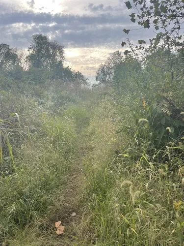 Best Hikes and Trails in Edwardsville | AllTrails