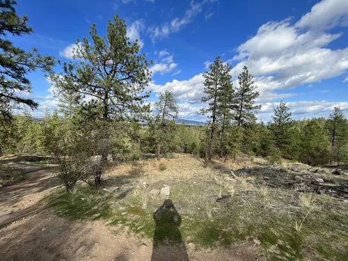 10 Best Trails and Hikes in Spokane | AllTrails