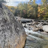Franconia Falls Trail, New Hampshire - 1,507 Reviews, Map | AllTrails