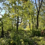 Furstenberg Nature Area and Gallup Park Trail Loop, Michigan - 370 ...