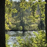 Furstenberg Nature Area and Gallup Park Trail Loop, Michigan - 370 ...