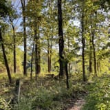 Furstenberg Nature Area and Gallup Park Trail Loop, Michigan - 554 ...