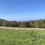 Merck Forest Trail, Vermont - 317 Reviews, Map | AllTrails