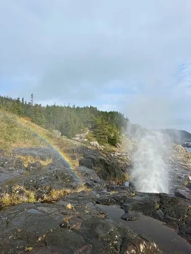 2023 Best Beach Trails in Bay Bulls | AllTrails