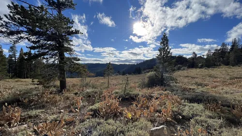 10 Best Snowshoeing Trails in Humboldt-Toiyabe National Forest | AllTrails