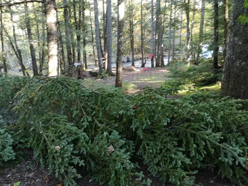 Best Hikes and Trails in Big Pokiok Nature Park | AllTrails