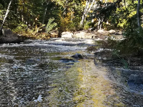 Best Hikes and Trails in Big Pokiok Nature Park | AllTrails