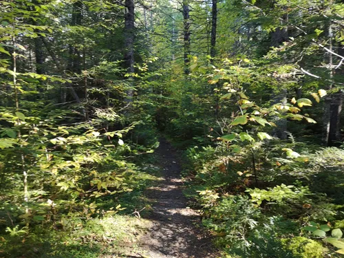 Best Hikes and Trails in Big Pokiok Nature Park | AllTrails