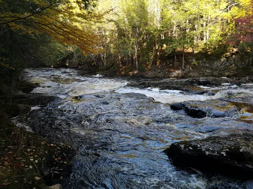 Best Hikes and Trails in Big Pokiok Nature Park | AllTrails