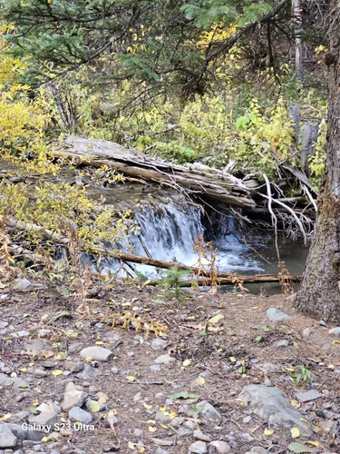 Best Off Road Driving Trails in Red Cliff | AllTrails