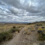 Keystone Canyon Trail, Nevada - 1,037 Reviews, Map | AllTrails
