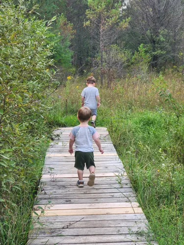 Best Hikes and Trails in High Acres Nature Area | AllTrails