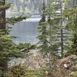 Hester Lake Trail, Washington - 75 Reviews, Map | AllTrails