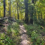 Northwest Park, Connecticut - 1,210 Reviews, Map | AllTrails