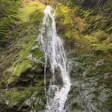 Madison Falls Trail, Washington - 1,553 Reviews, Map | AllTrails