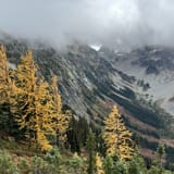 Easy Pass Trail, Washington - 464 Reviews, Map | AllTrails