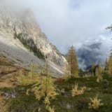 Easy Pass Trail, Washington - 464 Reviews, Map | AllTrails