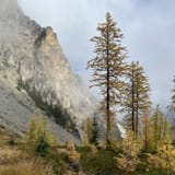 Easy Pass Trail, Washington - 464 Reviews, Map | AllTrails