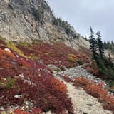 Easy Pass Trail, Washington - 426 Reviews, Map | AllTrails