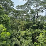 Southern Ridges and Labrador Park Loop, Central, Singapore - 324 ...