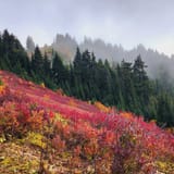 Excelsior Pass Trail, Washington - 579 Reviews, Map | AllTrails