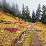 Excelsior Pass Trail, Washington - 579 Reviews, Map | AllTrails