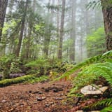 Excelsior Pass Trail, Washington - 579 Reviews, Map | AllTrails