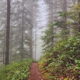 Excelsior Pass Trail, Washington - 571 Reviews, Map | AllTrails