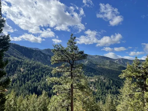 Best Hikes and Trails in Squilchuck State Park | AllTrails