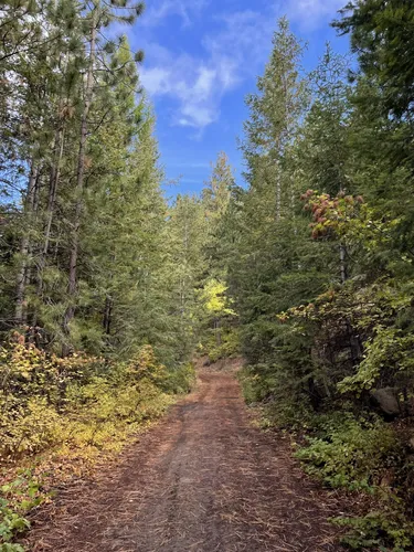 Best Hikes and Trails in Squilchuck State Park | AllTrails