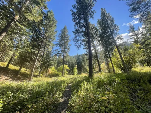 Best Hikes and Trails in Squilchuck State Park | AllTrails