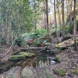 Fairy Bowers Falls Walk and Nicholas Pass, New South Wales, Australia ...