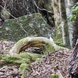 Fairy Bowers Falls Walk and Nicholas Pass, New South Wales, Australia ...