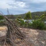 Manly Dam Loop, New South Wales, Australia - 896 Reviews, Map | AllTrails