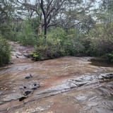 Manly Dam Loop, New South Wales, Australia - 896 Reviews, Map | AllTrails